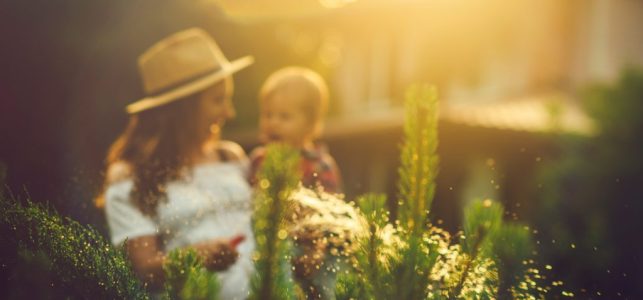 Equator Group | Online Banking